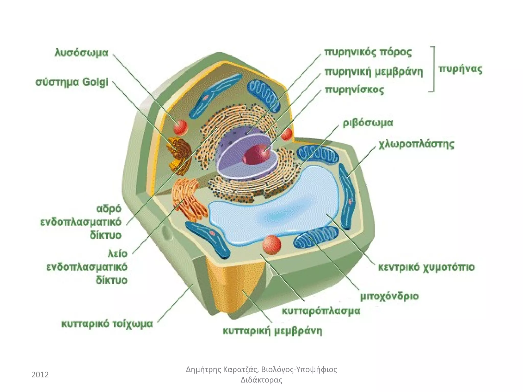Μάθημα: Βιολογία. Γ' Γυμνασίου-Σημειώσεις σχολικού βιβλίου | PPT
