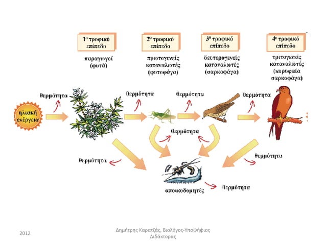 Μάθημα: Βιολογία. Γ' Γυμνασίου-Σημειώσεις σχολικού βιβλίου | PPT