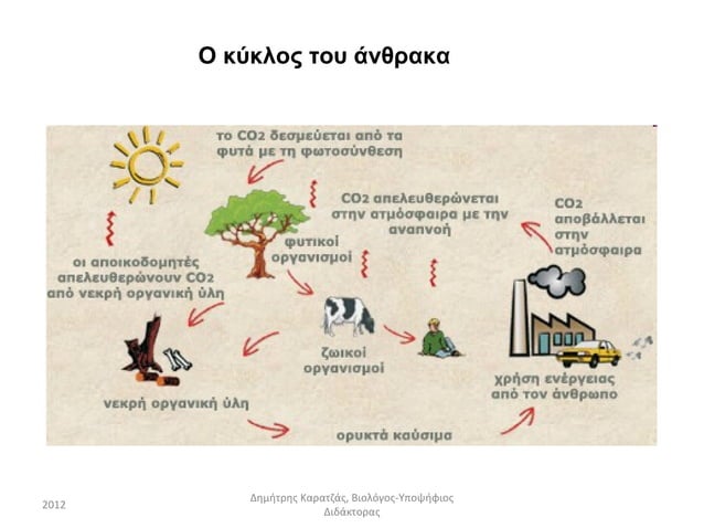 Μάθημα: Βιολογία. Γ' Γυμνασίου-Σημειώσεις σχολικού βιβλίου | PPT