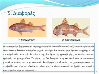 Τα ψάρια της ηρακλειάς | PPT