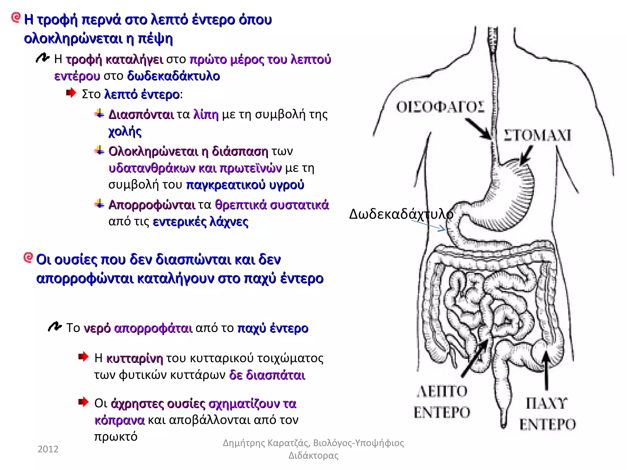 Μάθημα: Βιολογία. Α' Γυμνασίου-Σημειώσεις σχολικού βιβλίου | PPT