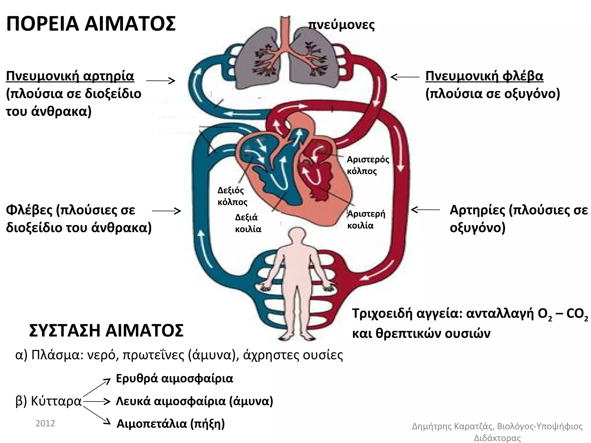 Μάθημα: Βιολογία. Α' Γυμνασίου-Σημειώσεις σχολικού βιβλίου | PPT