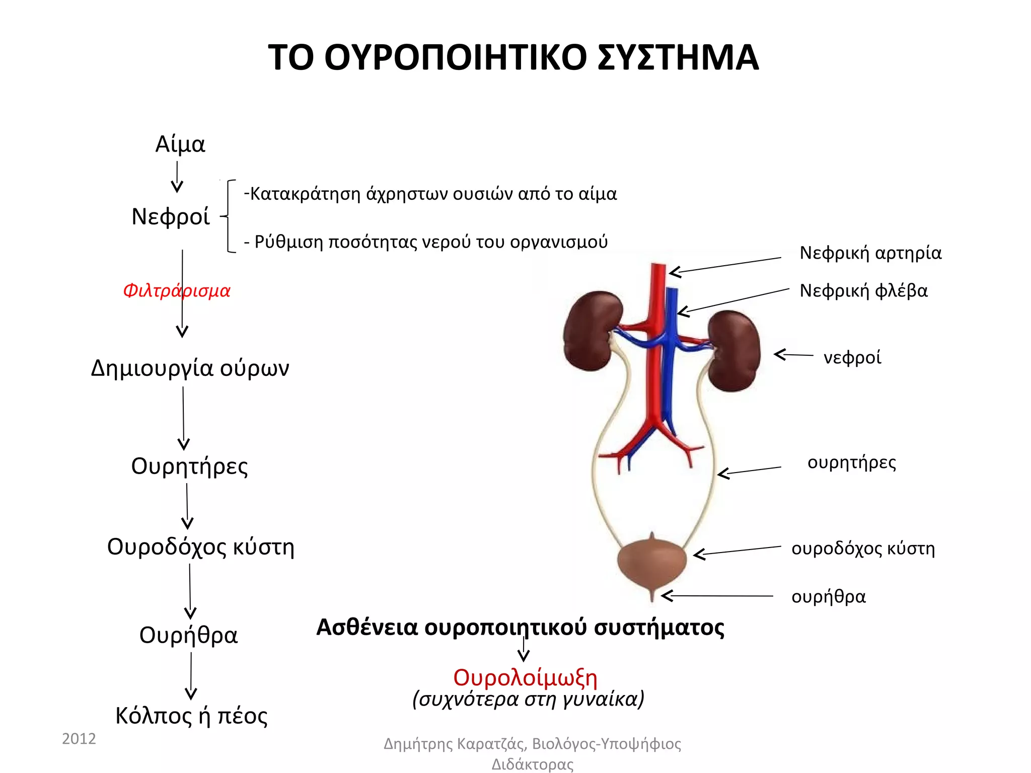 Μάθημα: Βιολογία. Α' Γυμνασίου-Σημειώσεις σχολικού βιβλίου | PPT