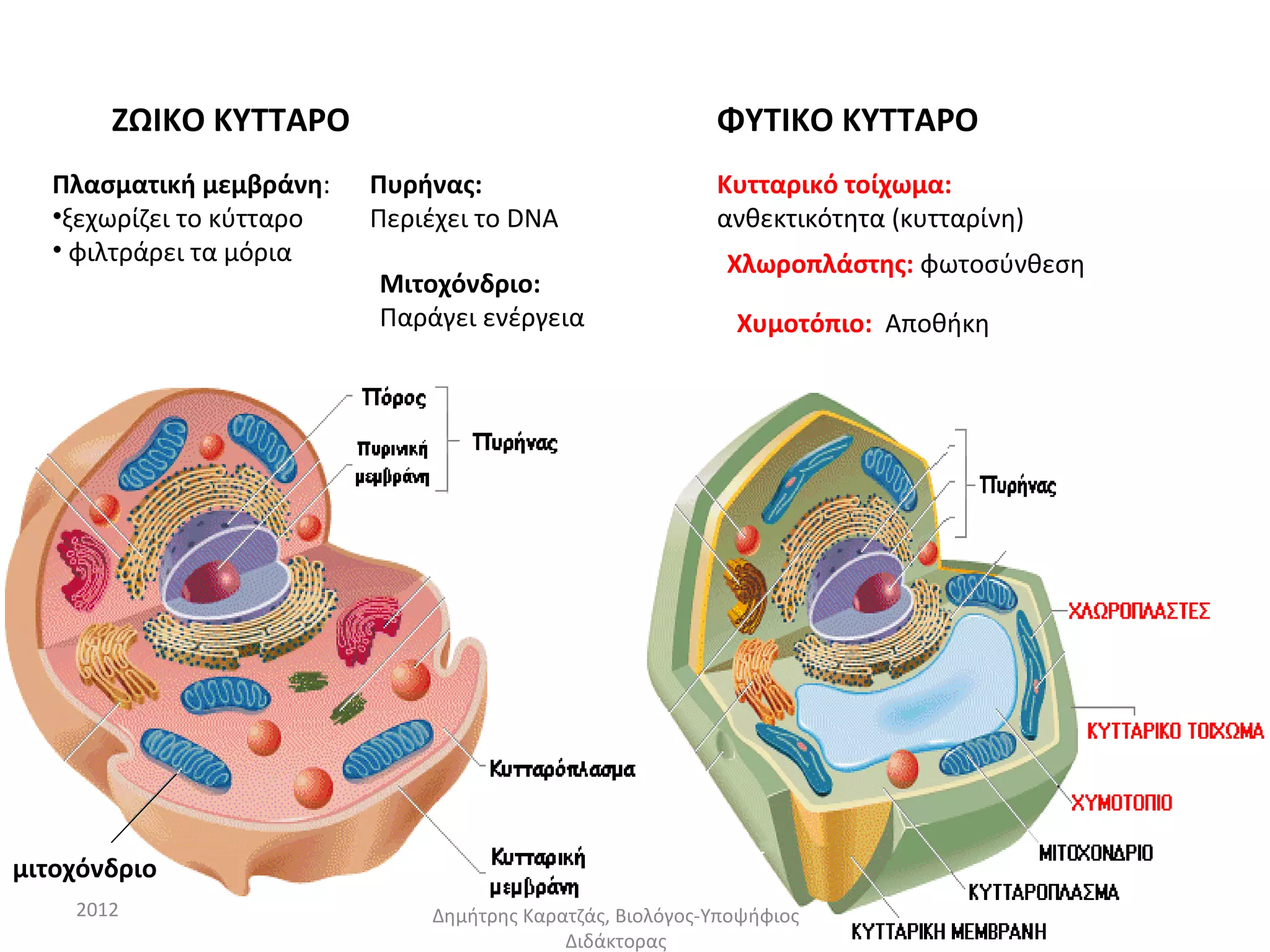 Μάθημα: Βιολογία. Α' Γυμνασίου-Σημειώσεις σχολικού βιβλίου | PPT