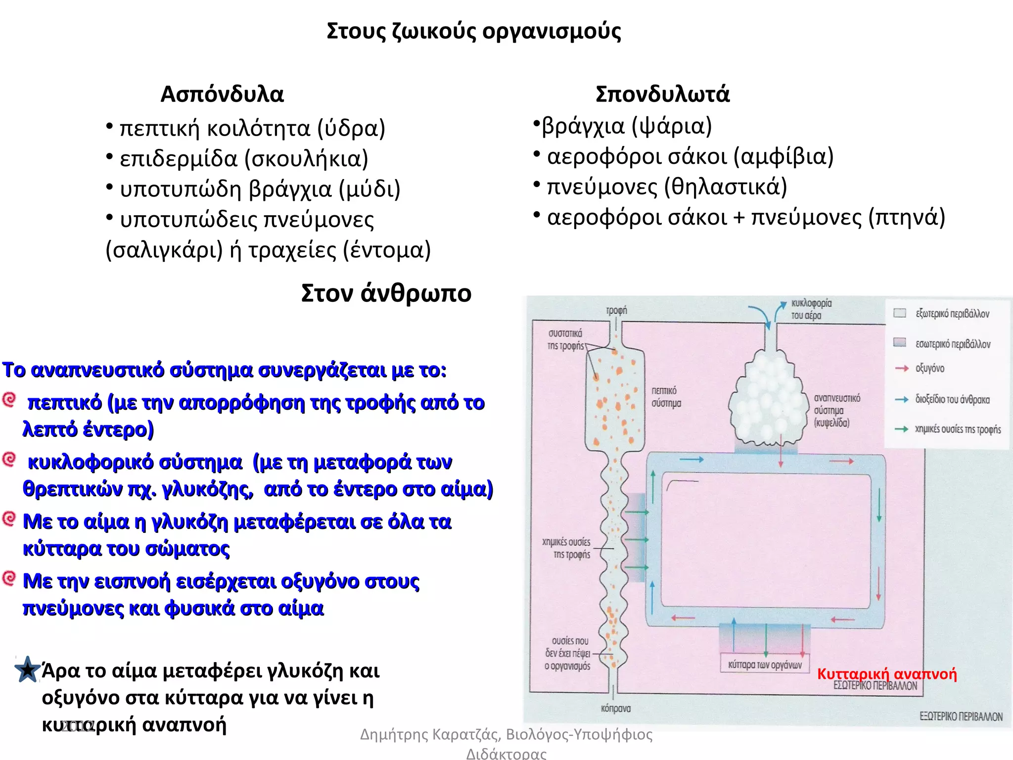 Μάθημα: Βιολογία. Α' Γυμνασίου-Σημειώσεις σχολικού βιβλίου | PPT
