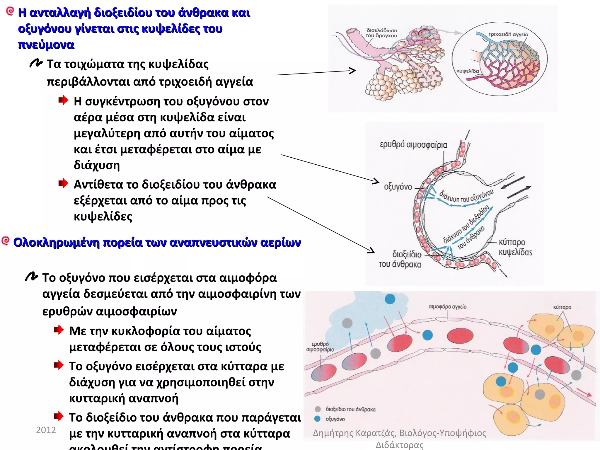 Μάθημα: Βιολογία. Α' Γυμνασίου-Σημειώσεις σχολικού βιβλίου | PPT