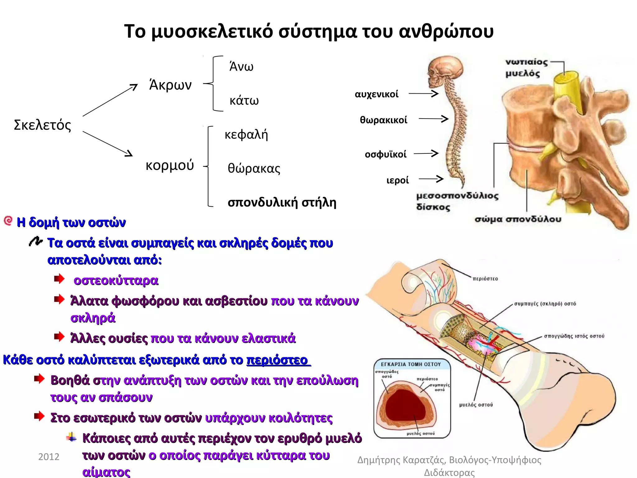 Μάθημα: Βιολογία. Α' Γυμνασίου-Σημειώσεις σχολικού βιβλίου | PPT
