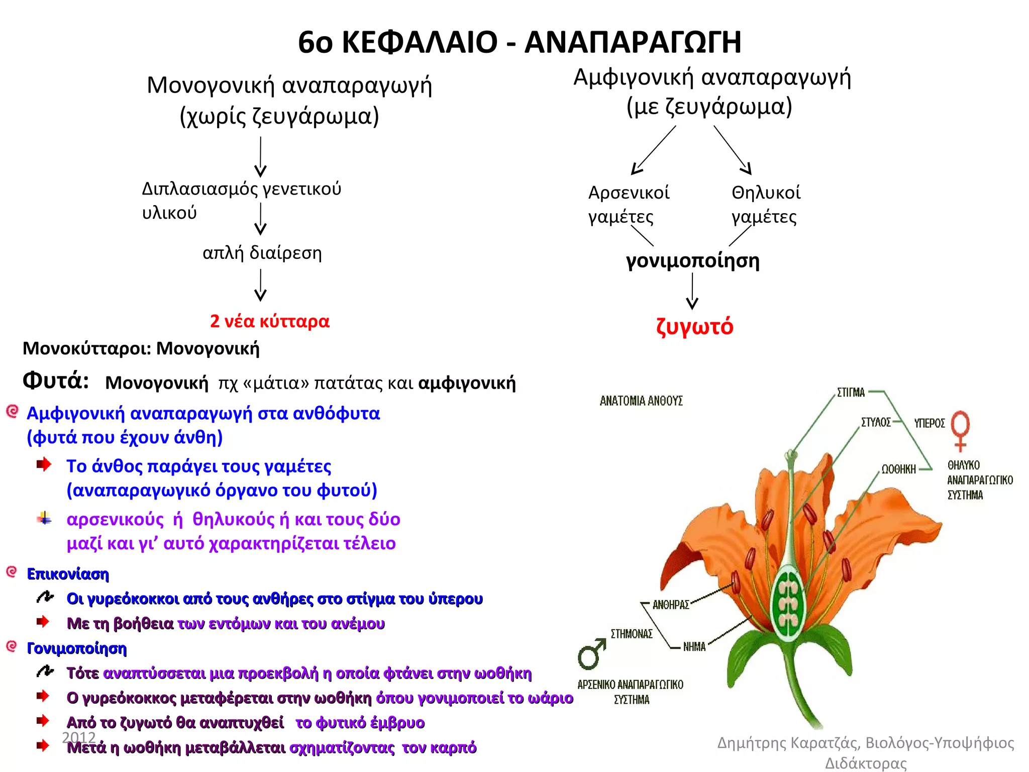 Μάθημα: Βιολογία. Α' Γυμνασίου-Σημειώσεις σχολικού βιβλίου | PPT