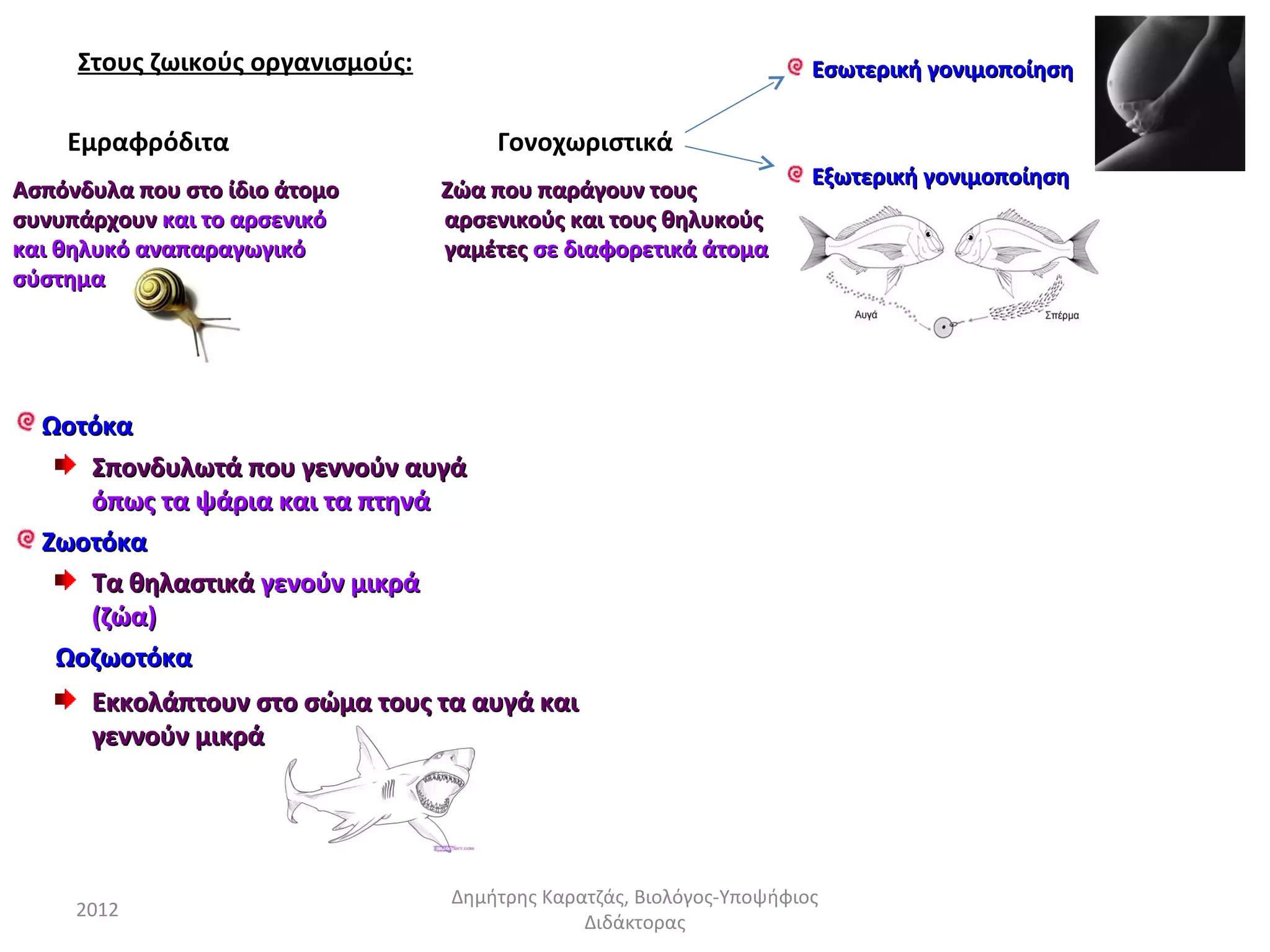 Μάθημα: Βιολογία. Α' Γυμνασίου-Σημειώσεις σχολικού βιβλίου | PPT