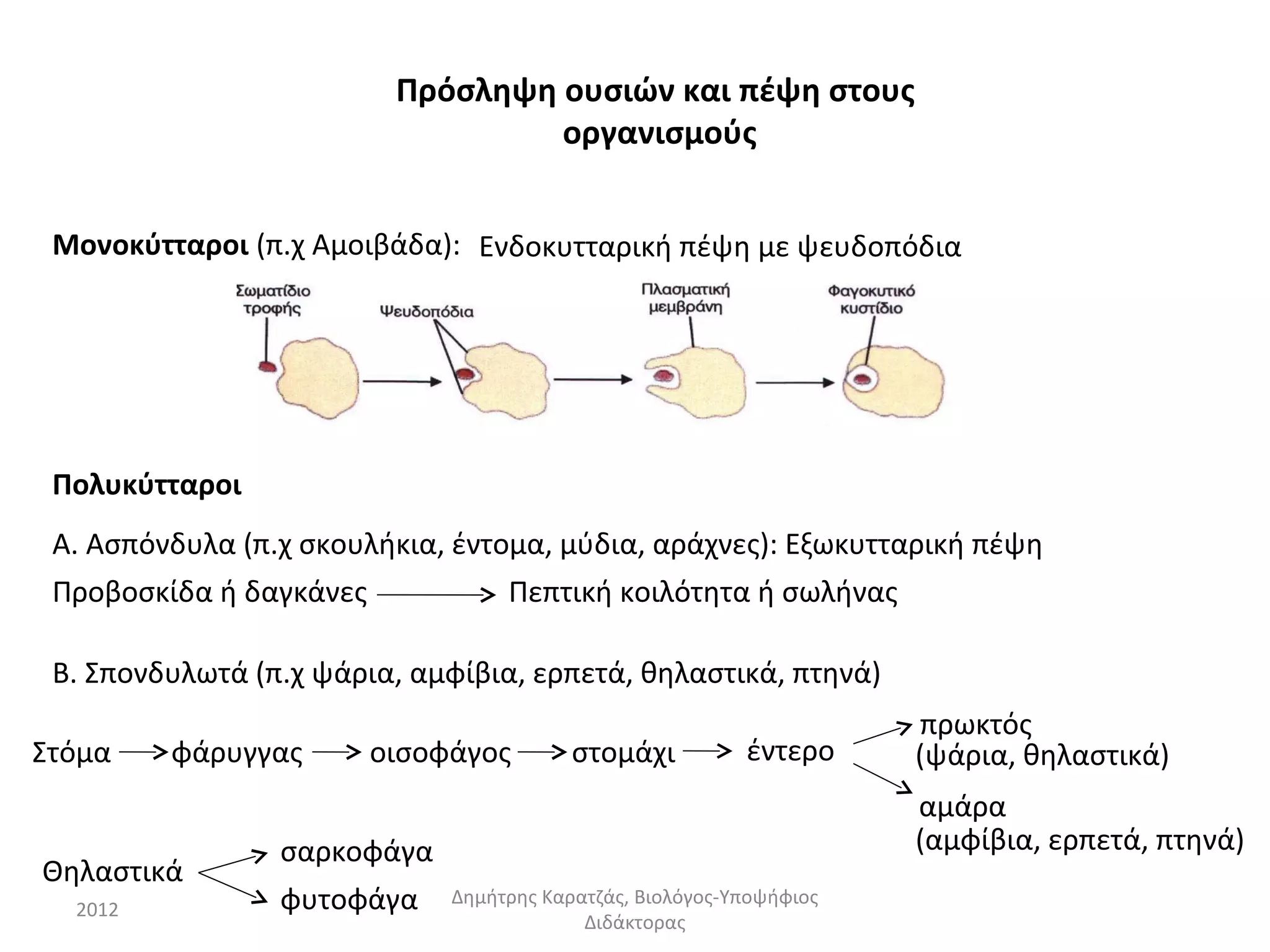 Μάθημα: Βιολογία. Α' Γυμνασίου-Σημειώσεις σχολικού βιβλίου | PPT