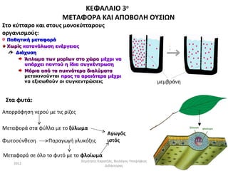 Μάθημα: Βιολογία. Α' Γυμνασίου-Σημειώσεις σχολικού βιβλίου | PPT