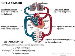 Μάθημα: Βιολογία. Α' Γυμνασίου-Σημειώσεις σχολικού βιβλίου | PPT