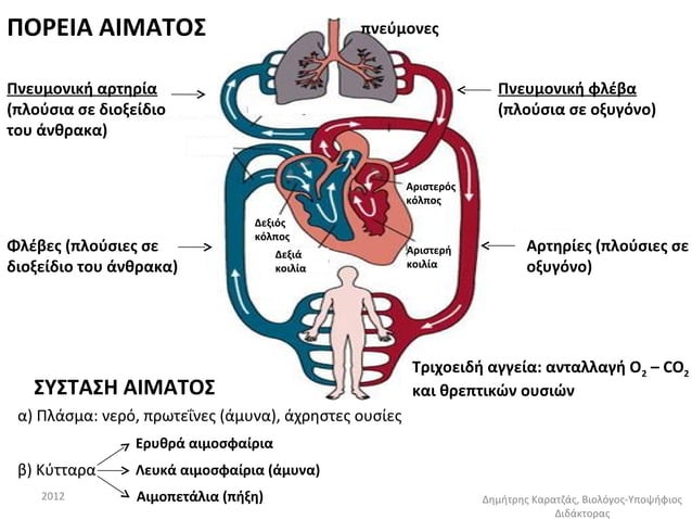 Μάθημα: Βιολογία. Α' Γυμνασίου-Σημειώσεις σχολικού βιβλίου | PPT
