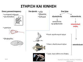 Μάθημα: Βιολογία. Α' Γυμνασίου-Σημειώσεις σχολικού βιβλίου | PPT