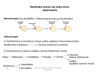 Μάθημα: Βιολογία. Α' Γυμνασίου-Σημειώσεις σχολικού βιβλίου | PPT