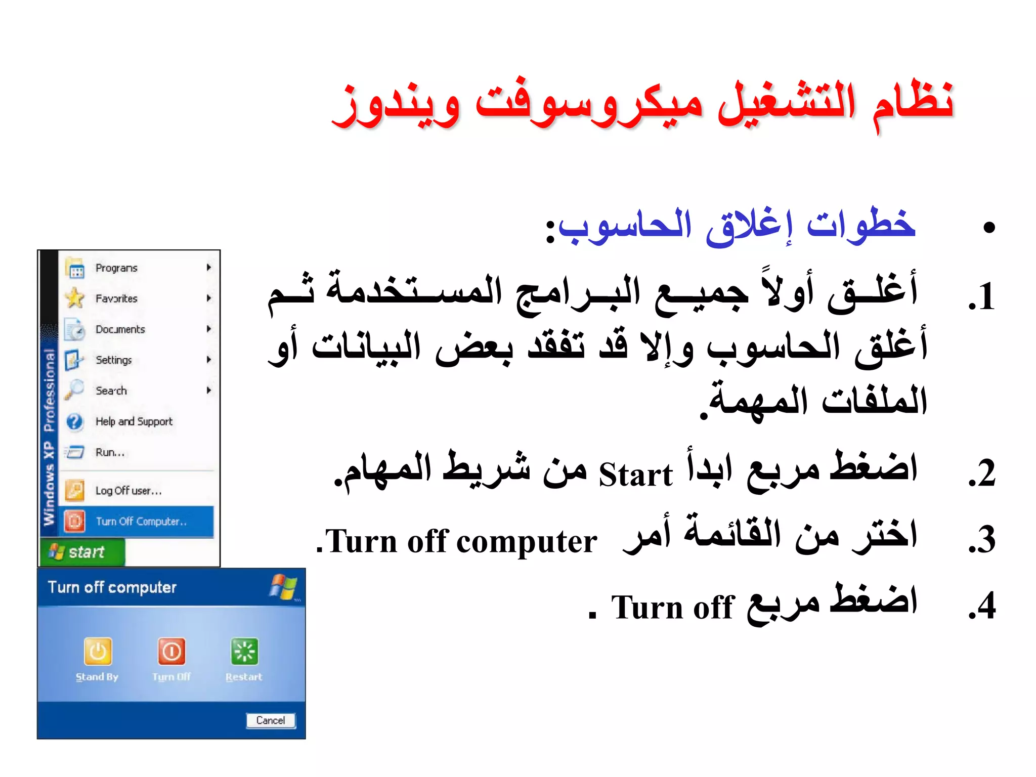 Introduction to Computer in Arabic Class 3 | PDF