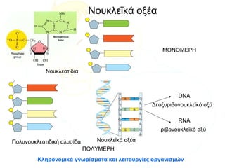 1.1 τα μόρια της ζωής | PPT