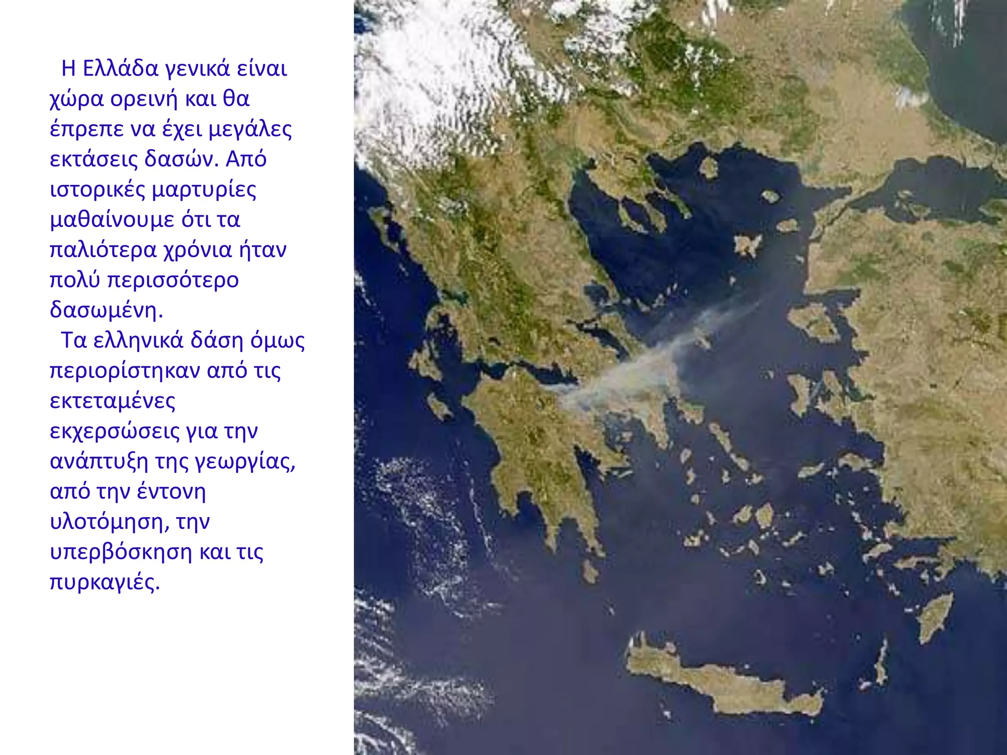 το δασος | PPTX