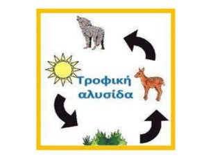 το δασος | PPTX