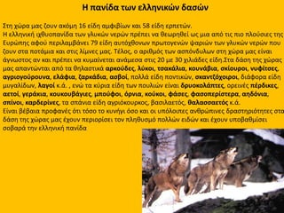 το δασος | PPTX