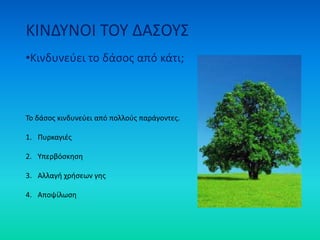 το δασος | PPTX