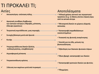 το δασος | PPTX