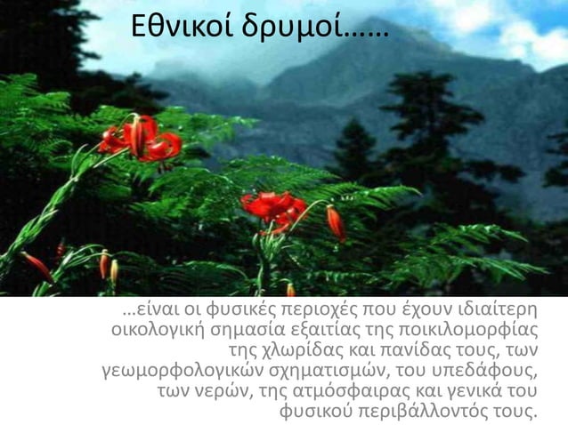 το δασος | PPTX