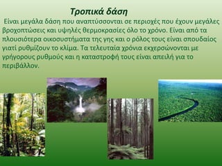 το δασος | PPT