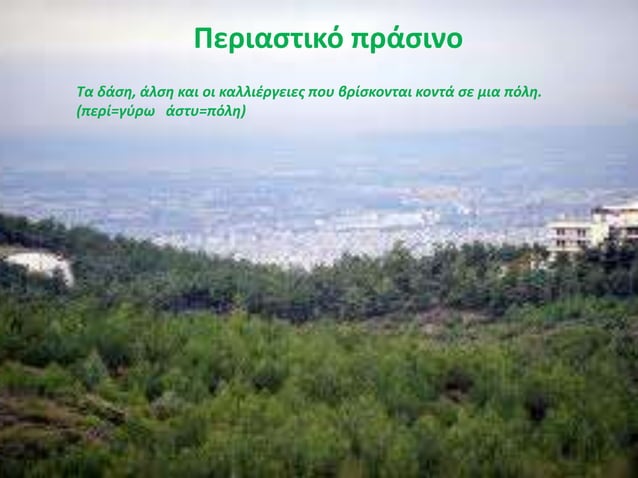 το δασος | PPTX