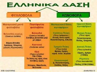 το δασος | PPTX