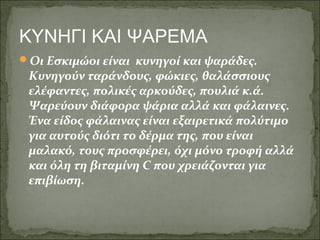 οι Εσκιμώοι!!! | PPS