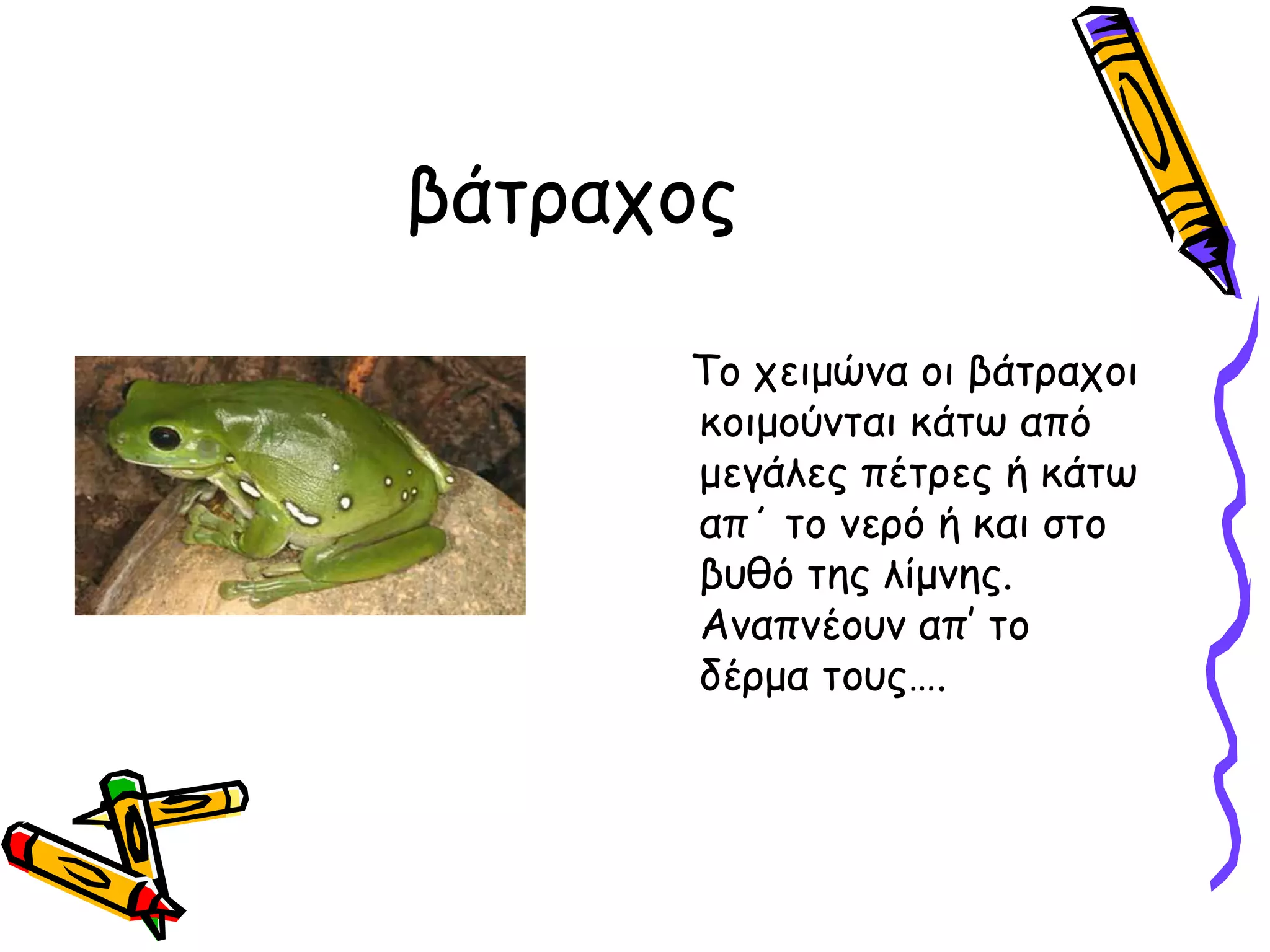 Hσυχία...κοιμούνται ! | PPT