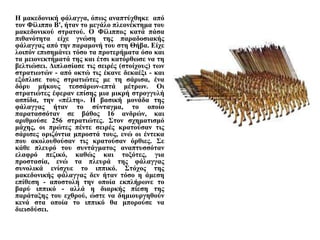 Η ΑΝΟΔΟΣ ΤΗΣ ΜΑΚΕΔΟΝΙΑΣ | PPT