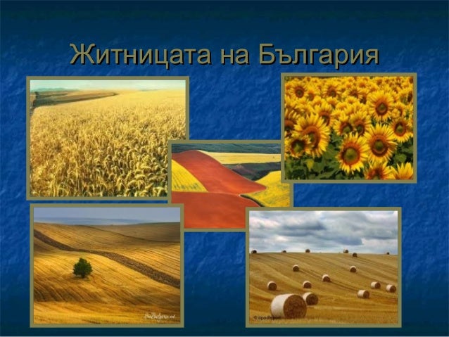 дунавска равнина