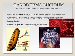γανοδερμα ο βασιλιάς των βοτάνων - καταπληκτική παρουσίαση από τον γ ...