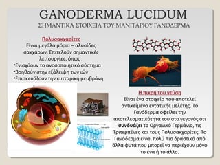 γανοδερμα ο βασιλιάς των βοτάνων - καταπληκτική παρουσίαση από τον γ ...