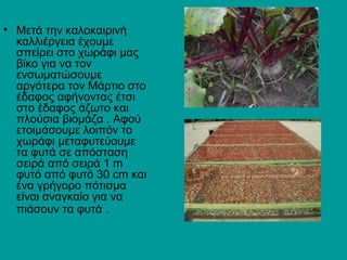τρόποι καλλιέργειας | PPT