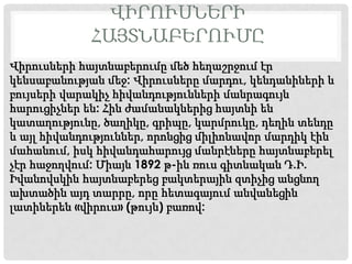 Վիրուսներ | PPT