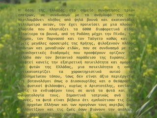 Τα αγριολούλουδα της ελληνικής υπαίθρου | PPT
