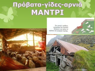 Πού ζουν τα ζώα; | PPT