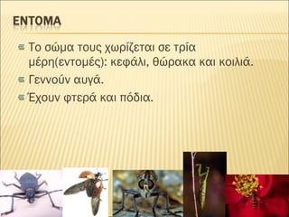 Κατηγορίες ζώων | PPT