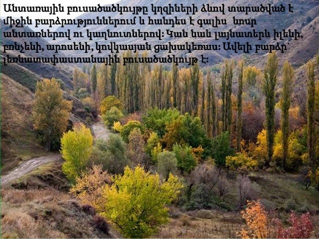 խոսրովի անտառ