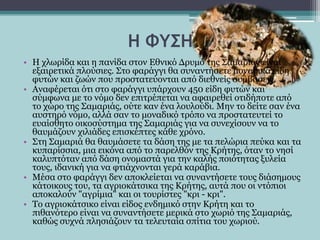 φαράγγι του βίκου | PPTX