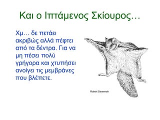 σκιουροι | PPT