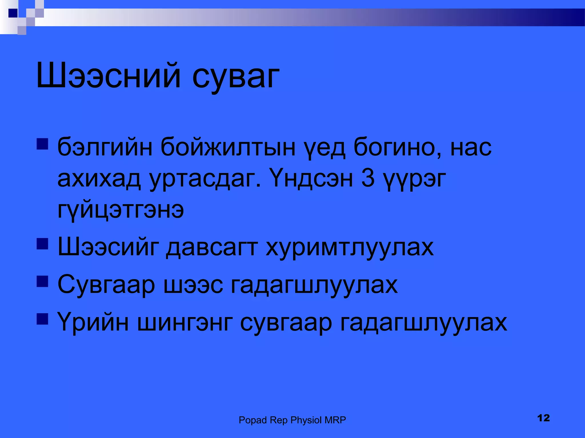 эрэгтэйн нөхөн үржихүйн анатоми физиологи Ppt