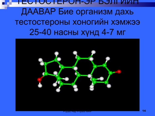 эрэгтэйн нөхөн үржихүйн анатоми физиологи Ppt