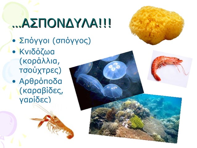 Ασπόνδυλα Σπονδυλωτά (μερος β΄) | PPT