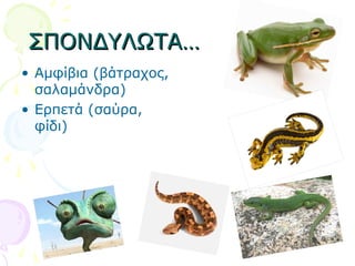 Ασπόνδυλα Σπονδυλωτά (μερος β΄) | PPT