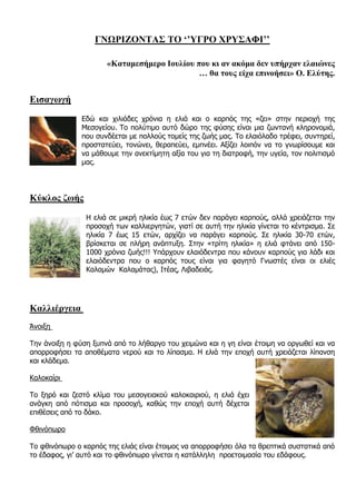 εργασια δ ταξης | PDF