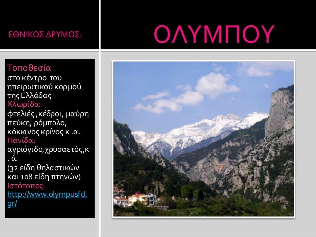 ΕΘΝΙΚΟΙ ΔΡΥΜΟΙ